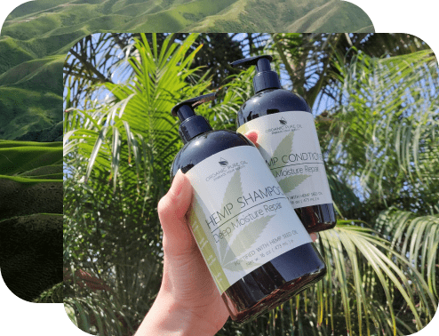Home - Organic Pure Oil